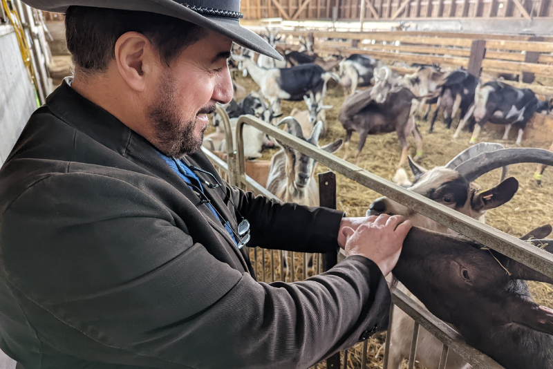 7 Definitions to Keep You Informed on Ethical Farming Practices ...